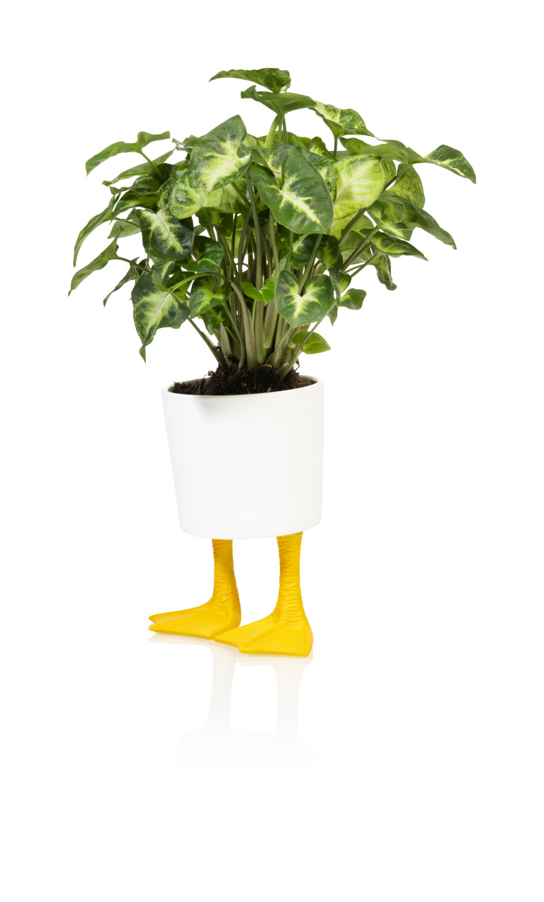 Product: Duck feet planter large | Bergers belgium